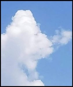 What Do You See: A Fish or a Plane? – Yemiqz